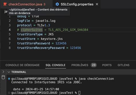 Connecting To Cloud Sql With Dbeaver Using Ssltls Intersystems Developer