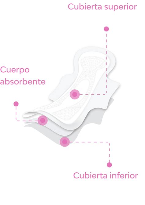 Conoce La Nueva Línea Saba® V Bio