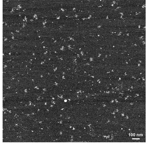 Fig S51 Afm Imaging Of 52 Bp Edge Length Dna Pentagonal Bipyramid