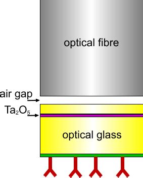 Bio Layer Interferometry