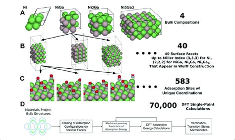 Schematic Of The Combinatorial Space Of Adsorption On A Bimetallic Download Scientific Diagram