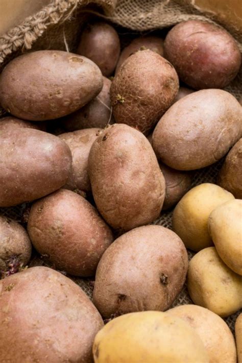 Difference Between Sweet Potatoes And Yams Cocador