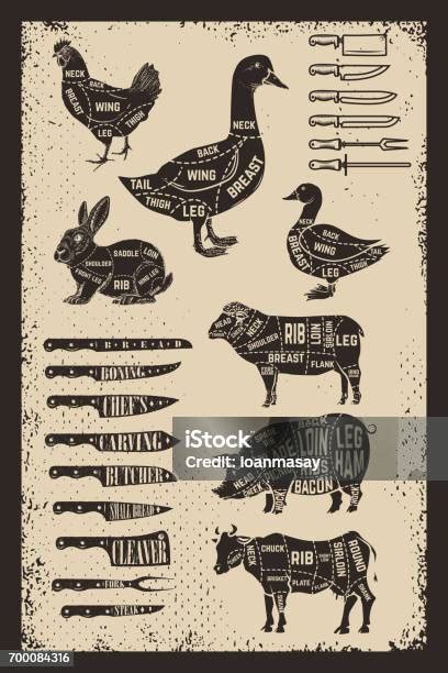 양고기 거 위 돼지 소 토끼 오리 닭에 대 한 절단 고기에 대 한 다이어그램 가이드 포스터 메뉴 레스토랑 전단지 디자인 요소입니다 벡터 일러스트 레이 션 정육점 주인에 대한