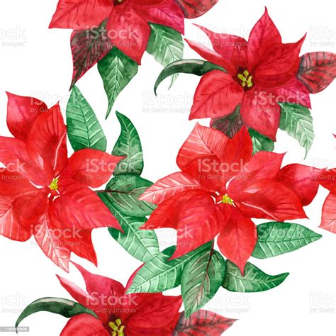 수채화 손 은 크리스마스 선물 포장지 및 휴일 직물흰색 배경에 고립 된 빨간색 Poinsettia 꽃과 녹색 잎과 크리스마스 원활한 패턴을 그린 수채화에 대한 스톡 벡터