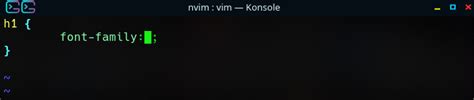 No Autocompletion Start After Installing And Cannot Install Cocinstall Coc Css Plugin Throwing