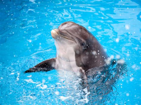 Mysql Error 1130 Host Not Allowed To Connect To Mysql Server