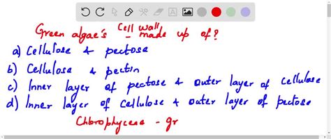 Solvedcell Wall Of Green Algae Is Made Up Of A Cellulose And Pectose