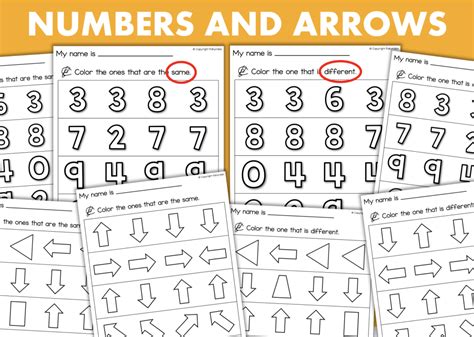 Same And Different Worksheets Visual Discrimination Objects Shapes Letters Numbers Made By Teachers