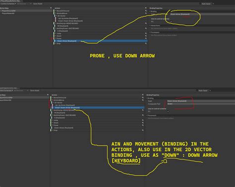 New Input System Different Actions But Same Button Is Possible