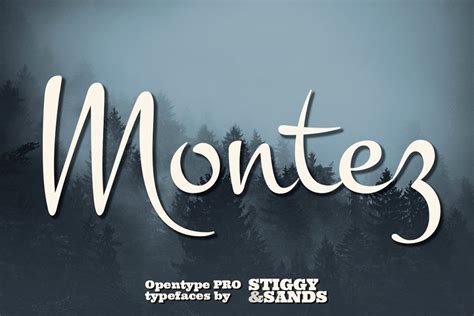 Intro Bold Alt Font XFonts Pro