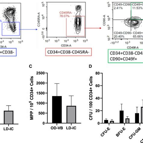 Comparison Of Hspc Populations In The Cd34 Cell Fraction Of Od Hpc Comparison Of Hspc Populations In The Cd34 Cell Fraction Of Od Hpc