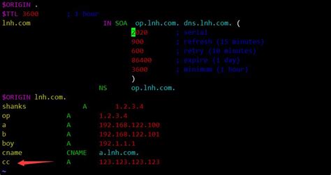 dns（bind）添加a、cname、mx、ptr记录、智能dns（acl） csdn博客