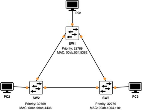 2 5 Spanning Tree Protocol Networking Basics