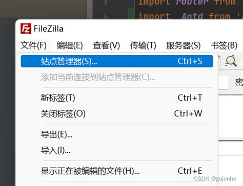 轻量应用服务器部署vue项目 2012 windwos 云服务器部署vue csdn博客