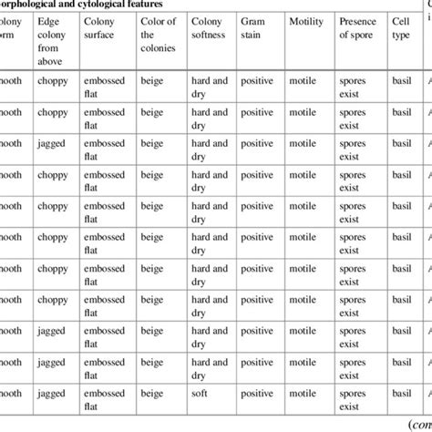 Characteristics And Morphological Characters And Cytology Of Isolates
