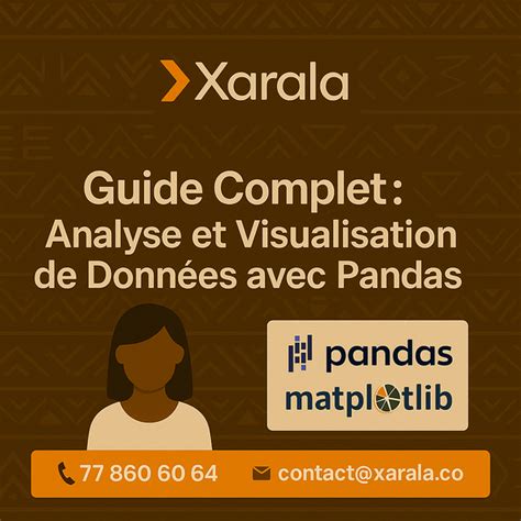 Guide Complet Analyse Et Visualisation De Données Avec Pandas Et