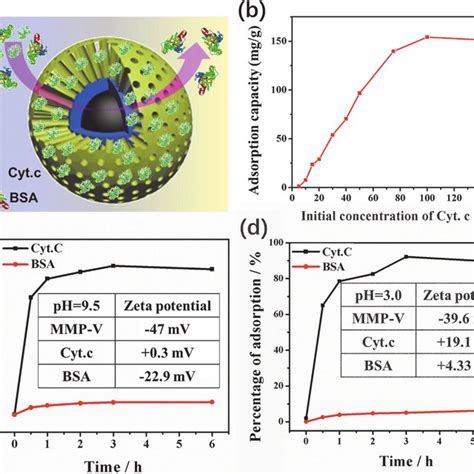 Synthesis Procedures For Coreshell Magnetic Mesoporous Polydopamine