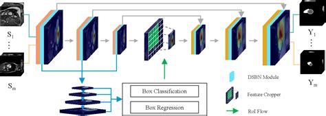 figure 1 from left and right ventricular segmentation based on 3d region aware u net semantic