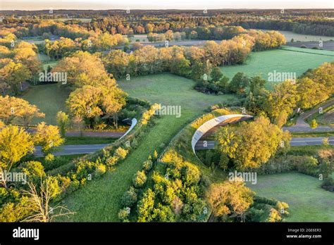 The Netherlands Wierden Wildlife Bridge Wildlife Crossing Ecoduct