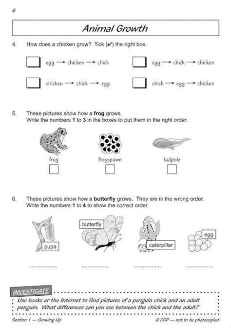 Buy Year 2 Science Workbook Pack Ages 6 7 Exam Ninja