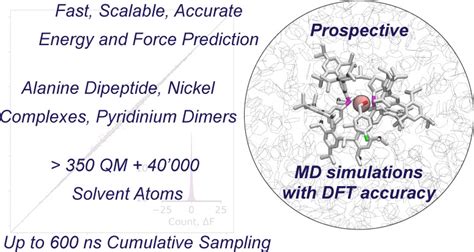 Neural Network Potential With Multiresolution Approach Enables Accurate