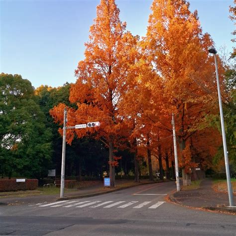 Pratibha Yadav Yadavpratibha2000 • Instagram Photos And Videos