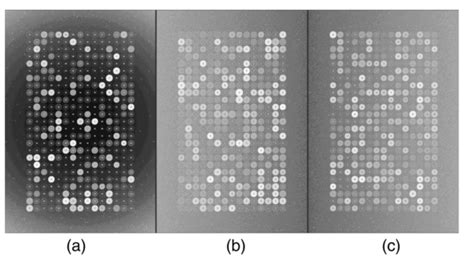 Simulation Of Cdna Microarrays Via A Parameterized Random Signal Model