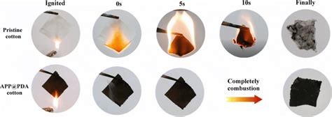The Combustion Process Of Pristine Cotton And Apppda Cotton Using A
