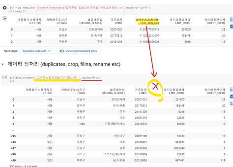 판다스 기초 1 Pandas Basic Readcsv Dropdurplicate Drop 기본
