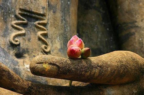 分享且以優雅過一生 每日頭條