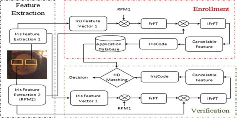 The Workflow Layout Of The Proposed Cancelable Iris Recognition System Download Scientific Diagram