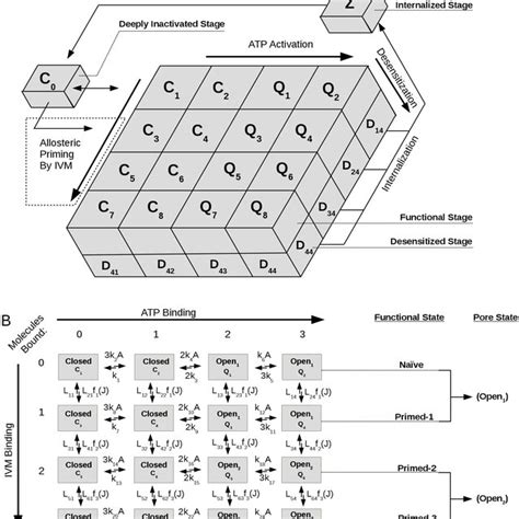 Diagram Of The Two Layer Markov State Model Describing The Sequential