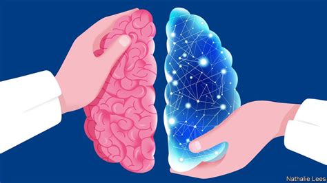 Artificial Brains Help Understand Real Brains Rhackernews