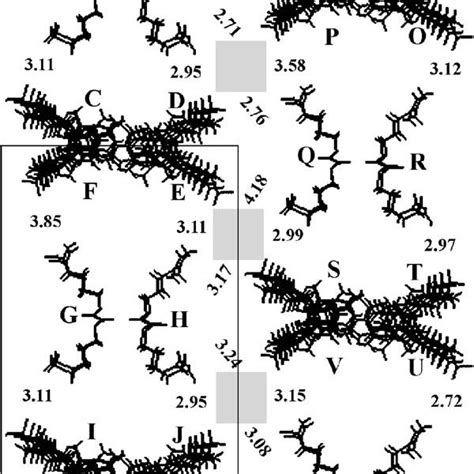Three Views Of Protamine Dna Structure A Top View Showing P1 And P2 Download Scientific