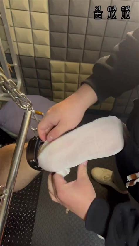 Tickled Chinese Bear Feet Thisvid Com