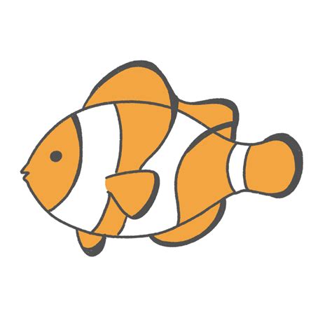 カクレクマノミのイラスト ONWAイラスト