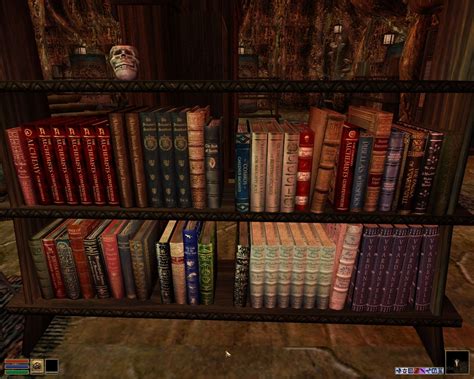 I Knew Morrowind Lore Was Detailed But Role Playing As A Scholar