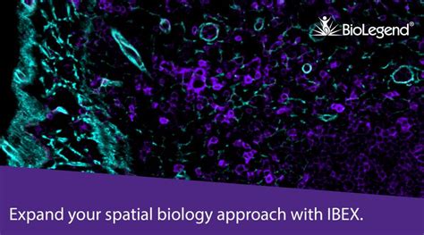 Thurka P Posted On Linkedin