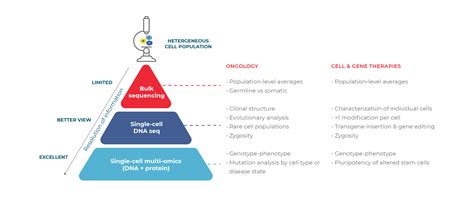 Single Cell Sequencing Vs Bulk Sequencing Mission Bio