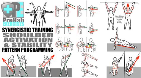 Synergistic Training Pattern Programming For Shoulder Activation And