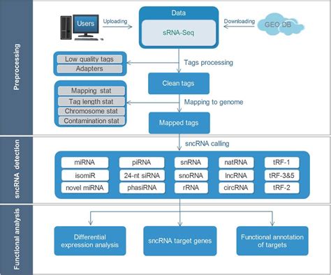 Overall Srnatools Workflow Download Scientific Diagram