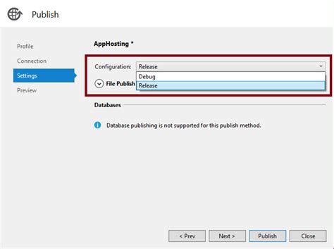 Publishing Aspnet Mvc Application Using File System