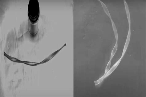 These Tiny Soft Robots Can Monitor Complex Environments Ranging From