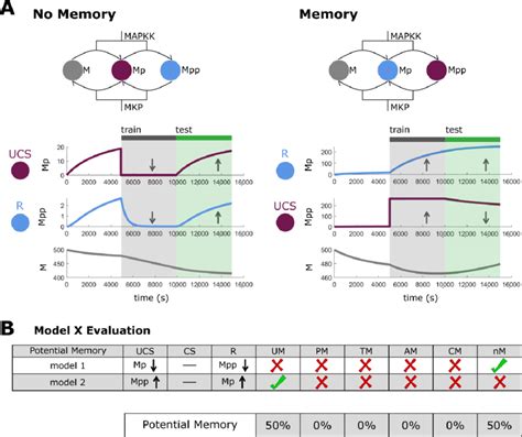 Example Network And Memory Evaluation A Two Potential Memory Models