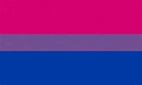 Hes Openly Bi Bisexual Flag  Bisexual Banner Discord Bisexual Banner 