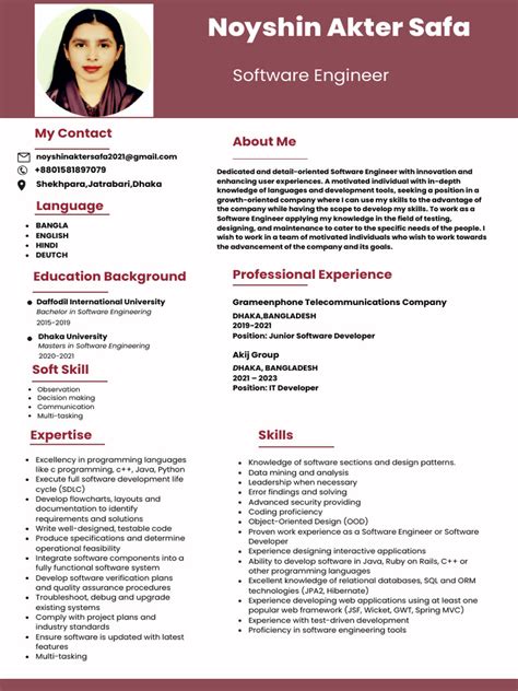 Safa Cv Pdf Software Computer Programming