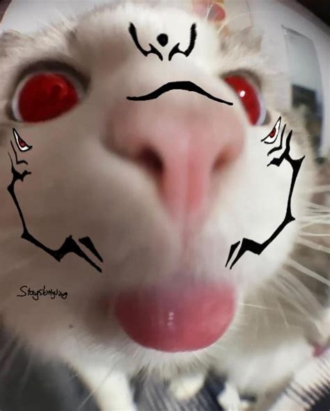 Ryomen Sukuna Catuna In Jujutsu Anime Funny Anime