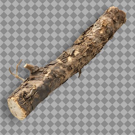 echinacea root type of herb echinacea purpurea form of herb isolated