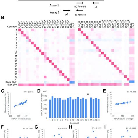 Effect Of Instrument Size Bias On ATAC Seq Data A Average Insert Size Download Scientific