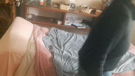 The Alien In Her Belly Makes Her Feel So Horny K Grace Clips Sale